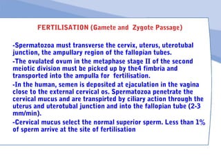 Physiology of Fertilization, Implantation, Placental & Fetal ...