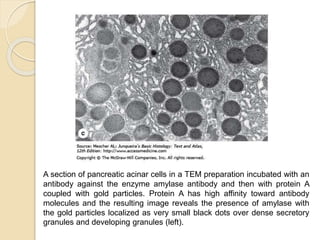 Histology & its methods of study | PPTX