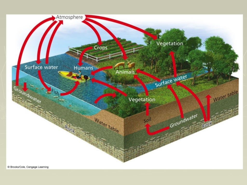 Environmental Health Hazards environmental-health-hazards