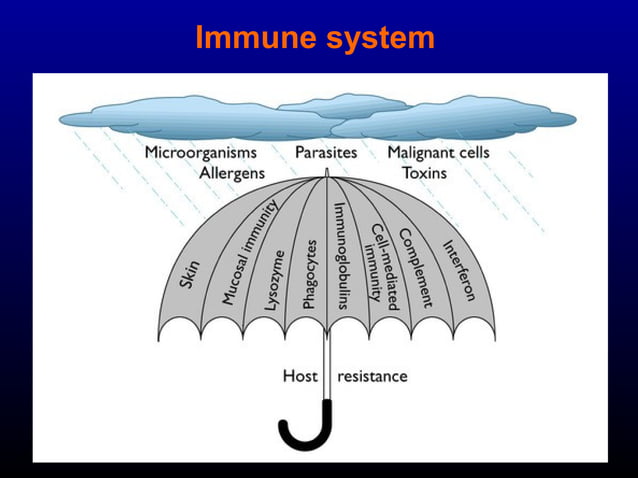 Structure & Functions of immune system | PPT | Infectious Diseases ...