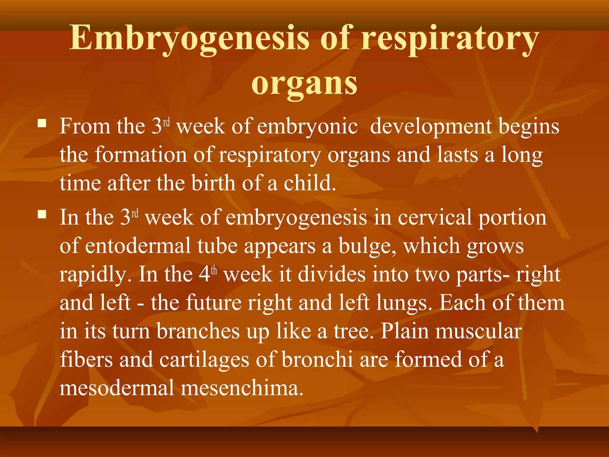 Respiratory system in children. Embryogenesis of Respiratory organs | PPT