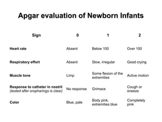 Full term & Pre term Newborn | PPT