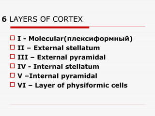 Physiology of Cortex | PPT