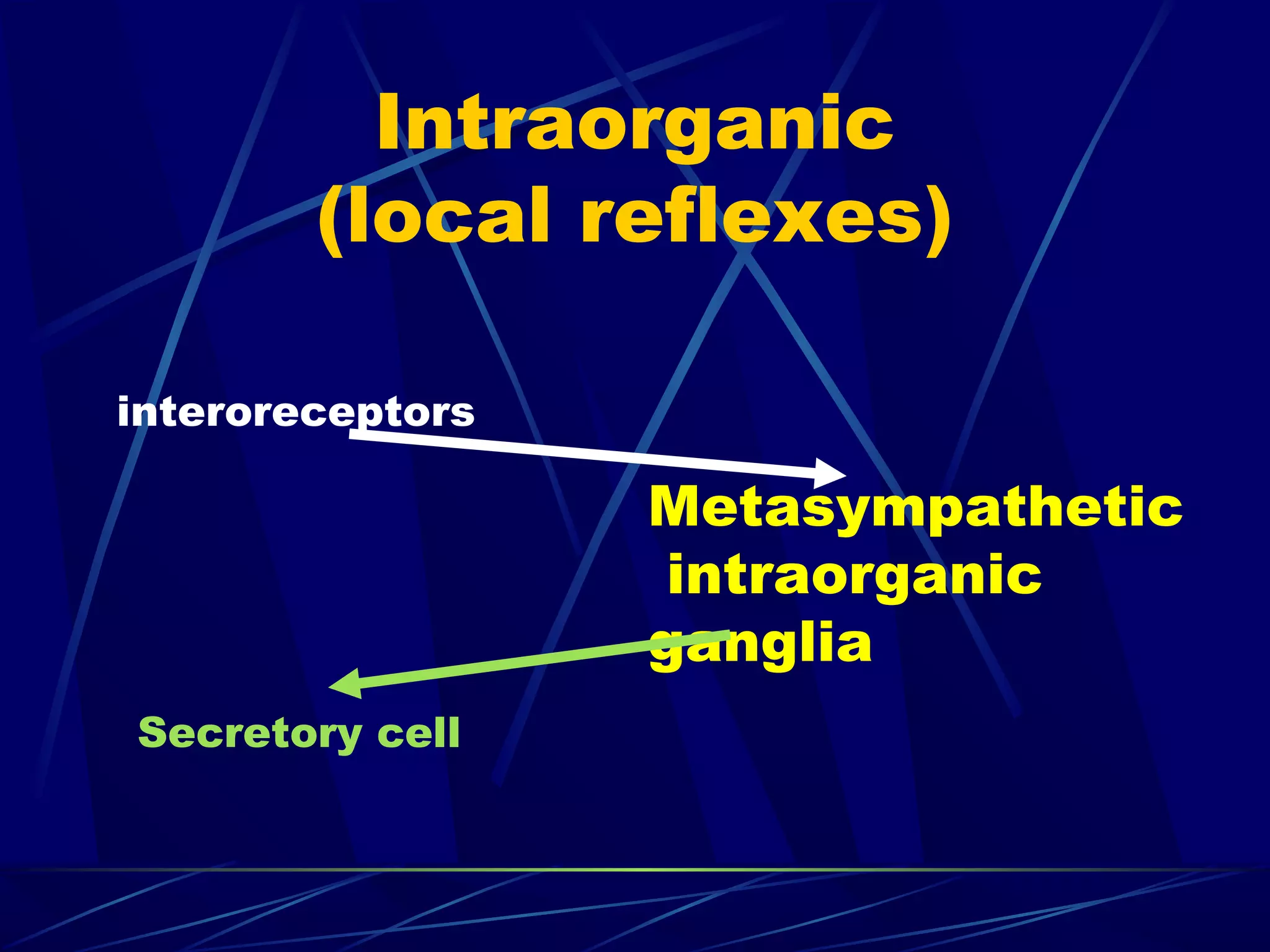 Physiology of Digestion in mouth cavity | PPT