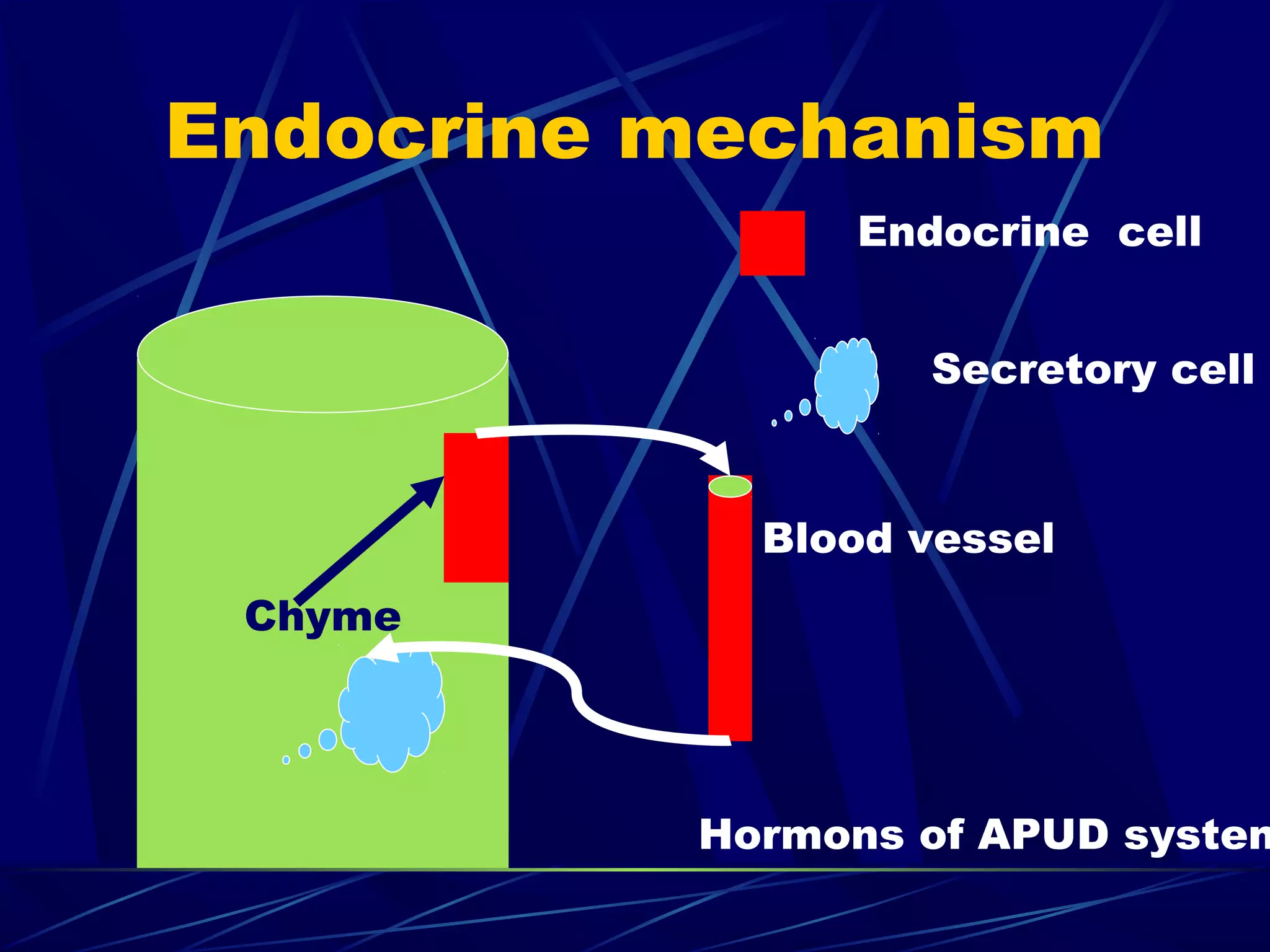 Physiology of Digestion in mouth cavity | PPT