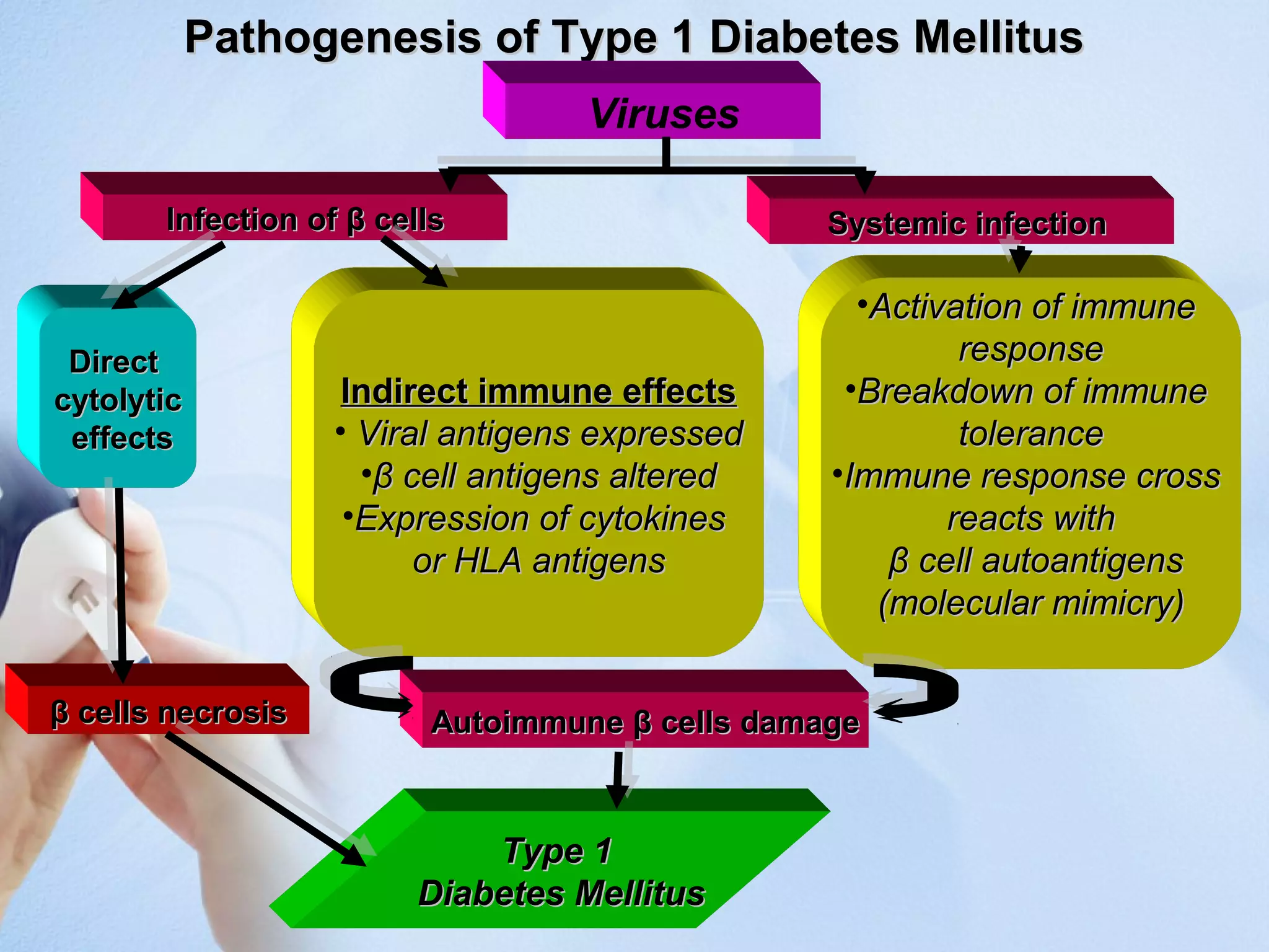 Etiology & pathogenesis of Diabetes Mellitus | PPT