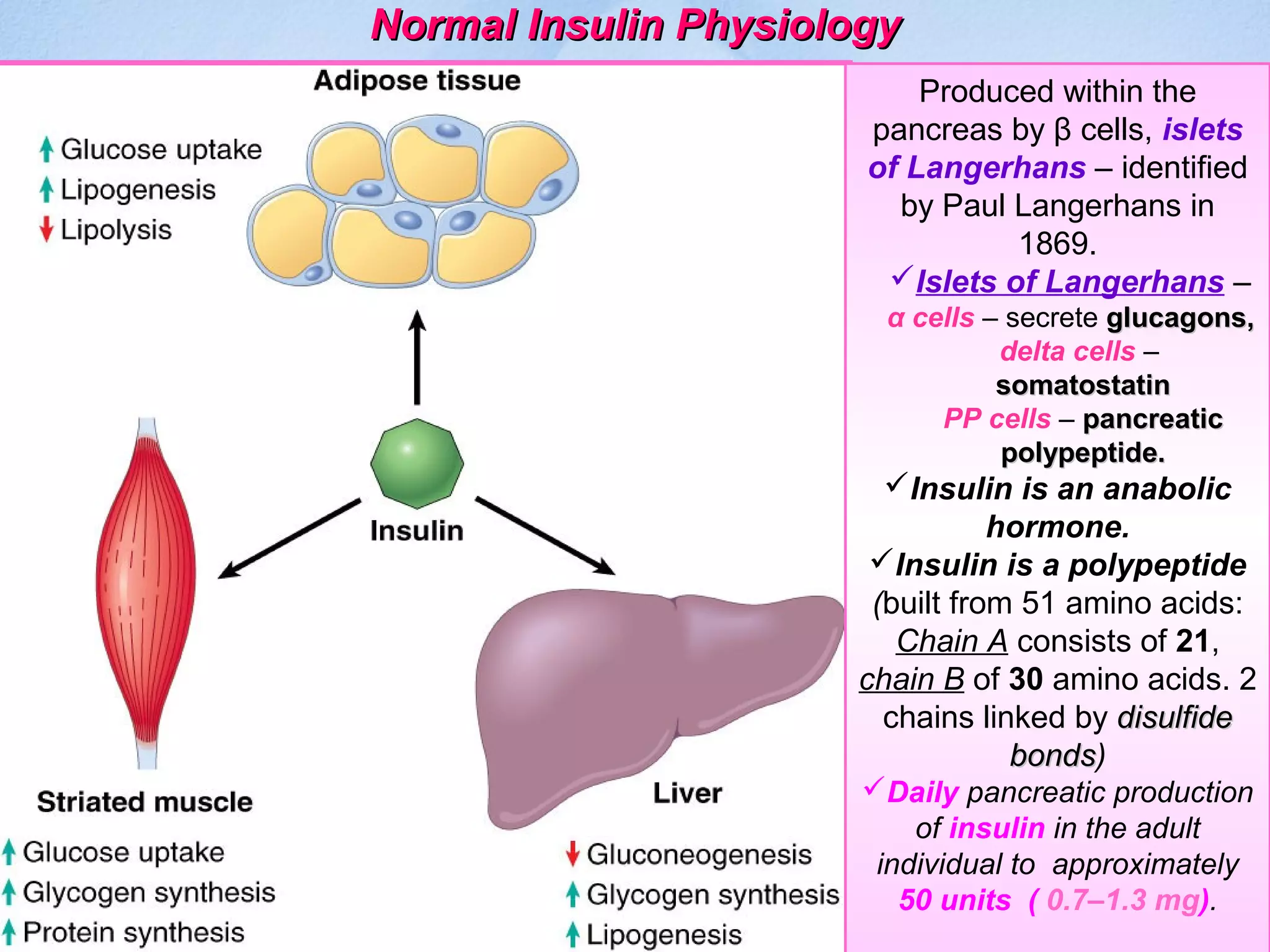 Etiology & pathogenesis of Diabetes Mellitus | PPT