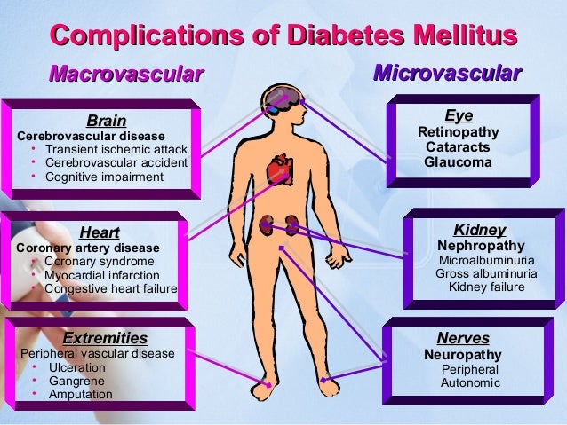 Etiology & pathogenesis of Diabetes Mellitus Etiology & pathogenesis of Diabetes Mellitus