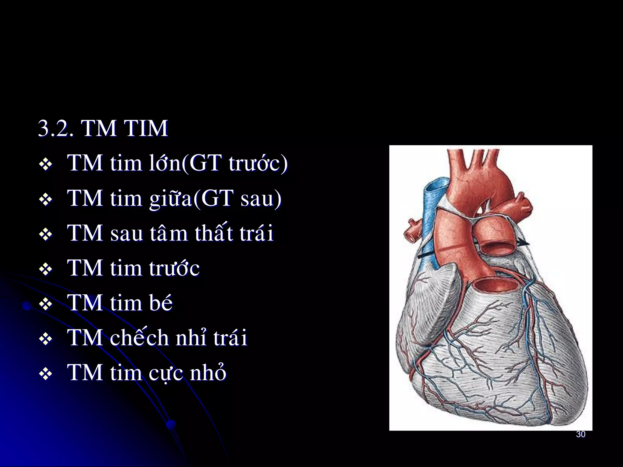 GIẢI PHẪU TIM | PDF