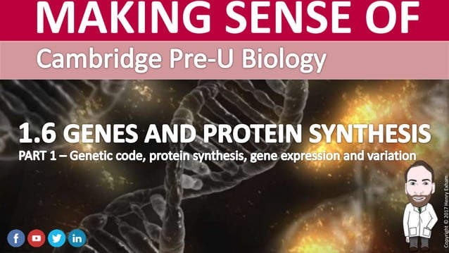 Cambridge Pre-U Biology - 1.6 Genes and Protein Synthesis PART 1 Sample ...