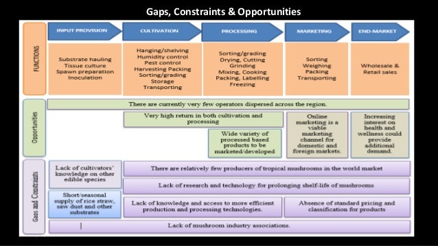 Mushroom: Value Chain Analysis / Dr. Emily Soriano