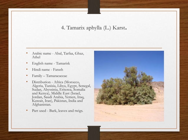 1. Prophet medicines ( plants in quran) A Series of Presentation to ...