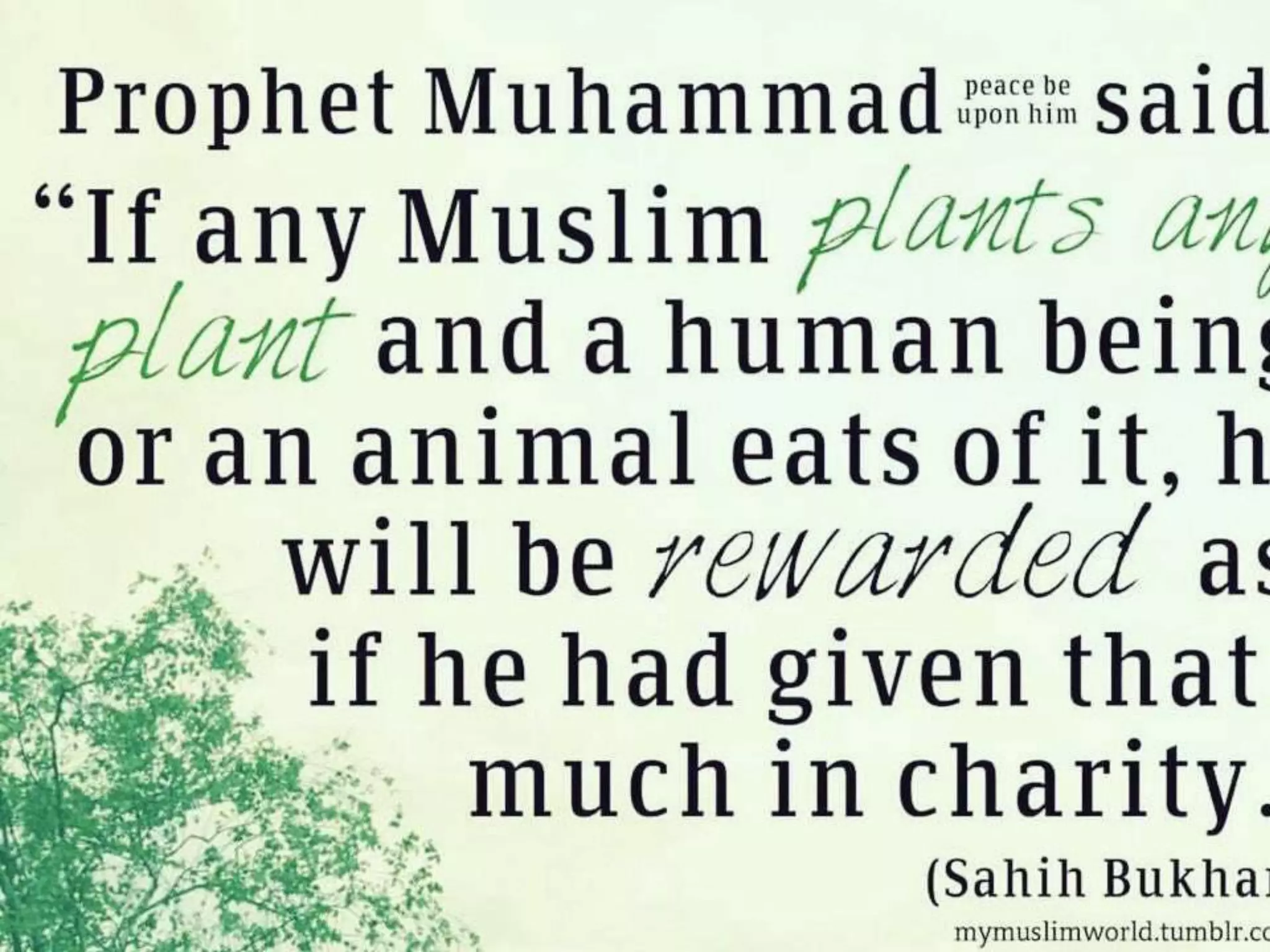 1. The quran and modern science ( general science) By Mr Allah Dad Khan ...