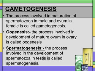 Oogenesis And Spermatogenesis Slideshare