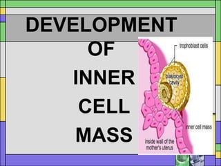 EMBRYOLOGY-OOGENESIS,SPERMATOGENESIS,FERTILIZATION | PPT