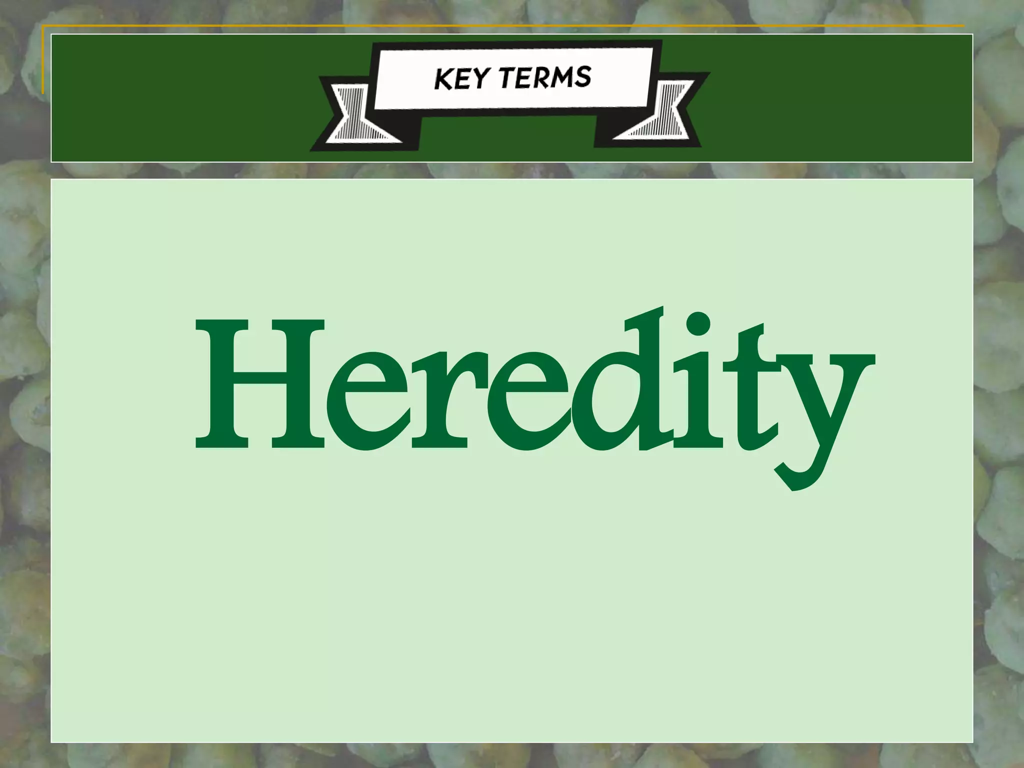 Heredity: Mendel's experiments | PPTX