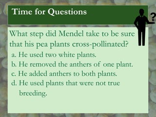 Heredity: Mendel's experiments | PPTX