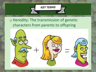 Heredity: Mendel's experiments | PPTX