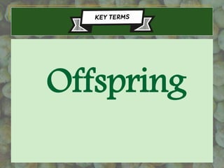 Heredity: Mendel's experiments | PPTX