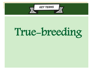 Heredity: Mendel's experiments | PPTX