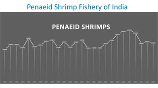 1. Penaed Shrimp Fishery of India | PPTX