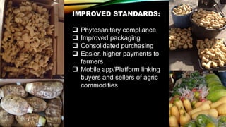 Agri-Shipping Initiative | PPT