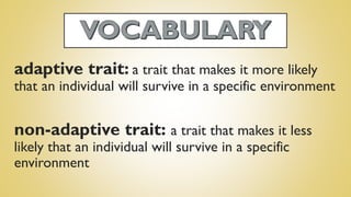 Investigating Changes In Trait Distribution | PDF
