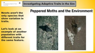 Adaptive Traits | PDF