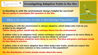 Adaptive Traits | PDF