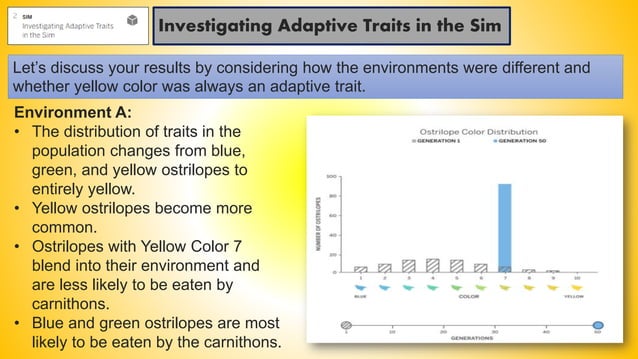 Adaptive Traits | PDF