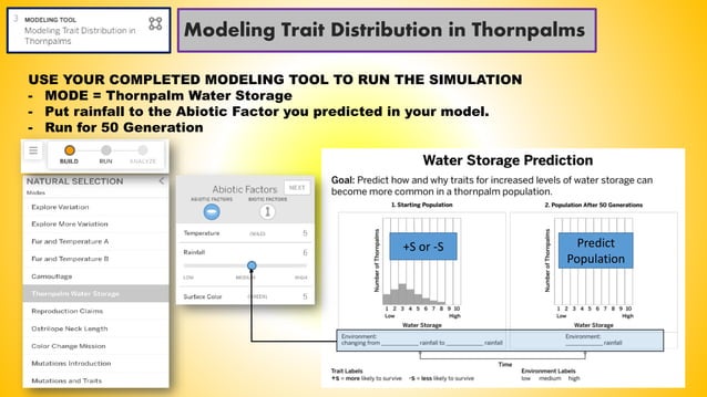 Adaptive Traits | PDF