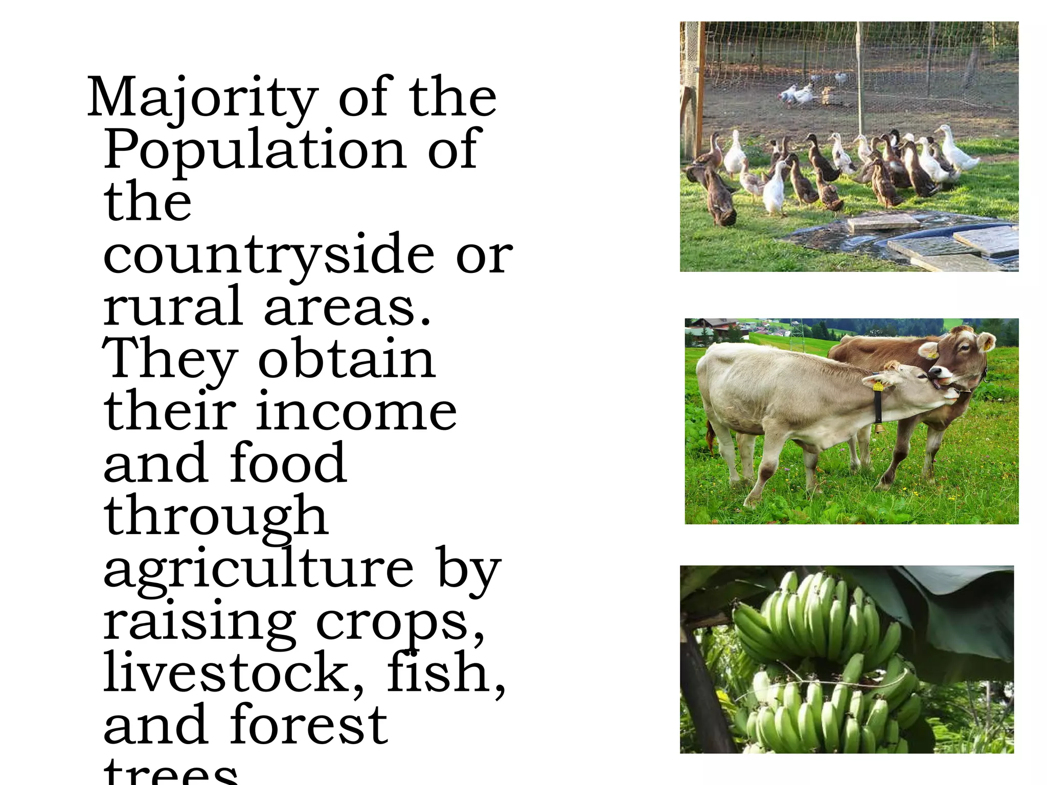 An introduction to Agricultural Crop Production | PPT