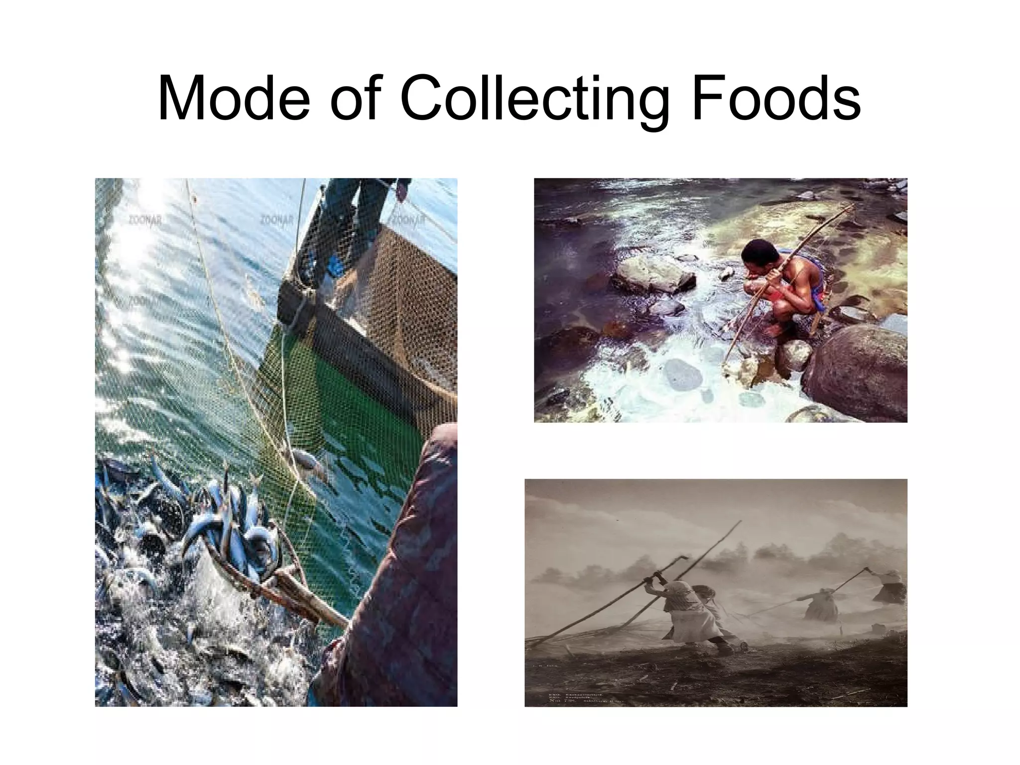 An introduction to Agricultural Crop Production | PPT