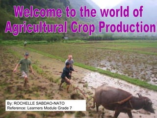 An introduction to Agricultural Crop Production | PPT