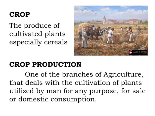 An introduction to Agricultural Crop Production | PPT