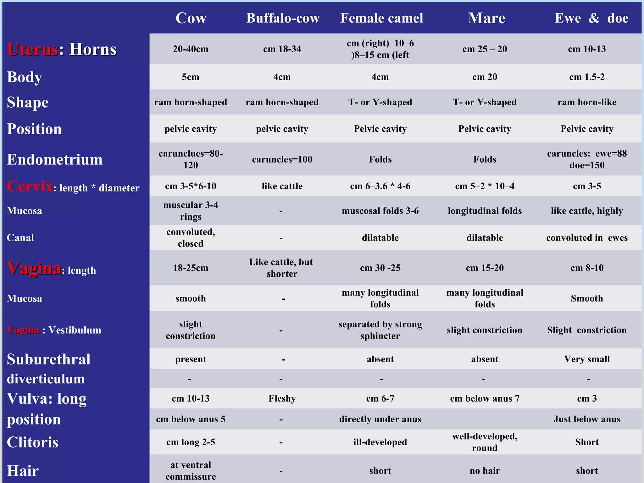 Presentation: Comparative Reproductive | PPT