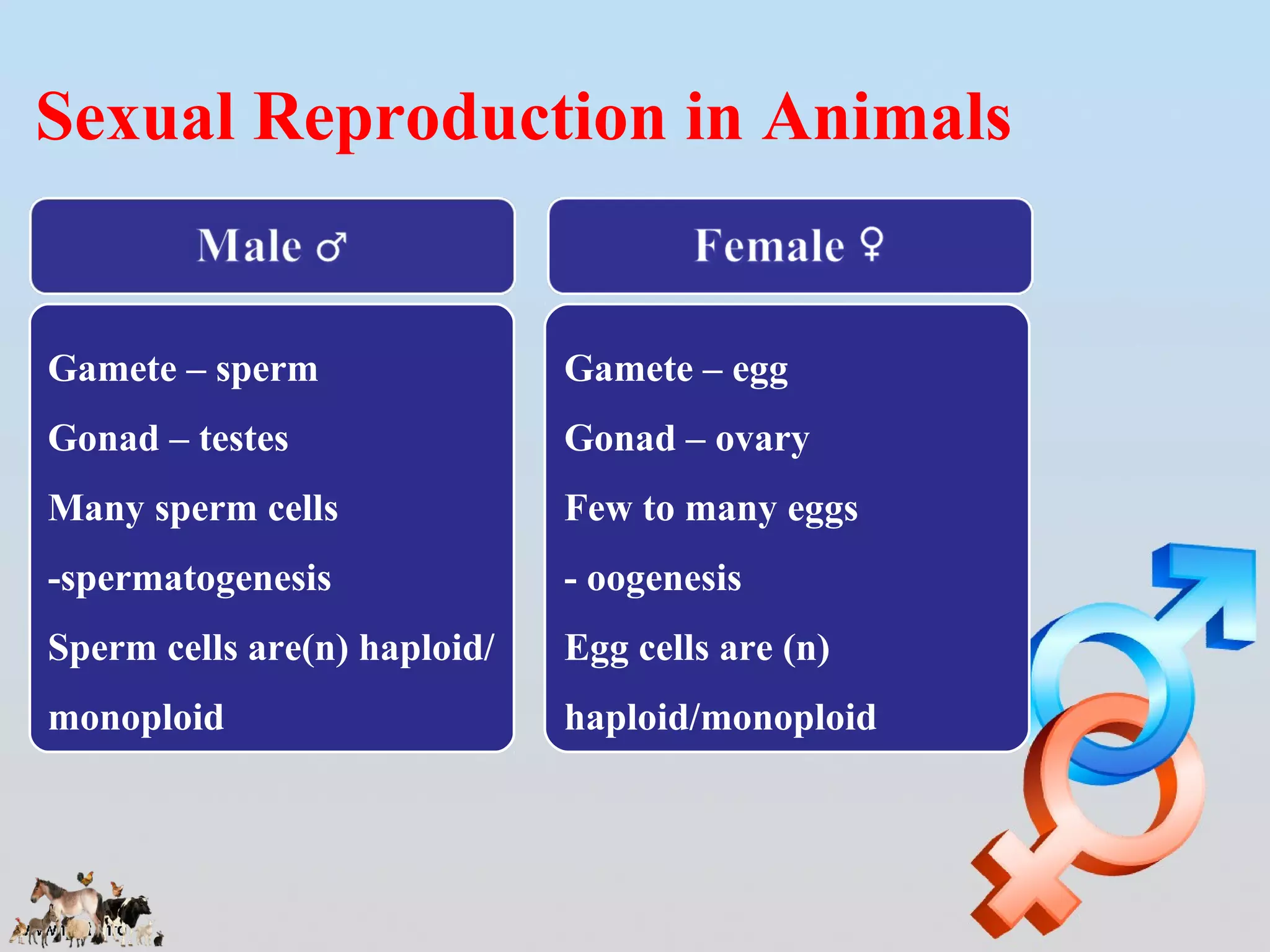 Presentation: Comparative Reproductive | PPT