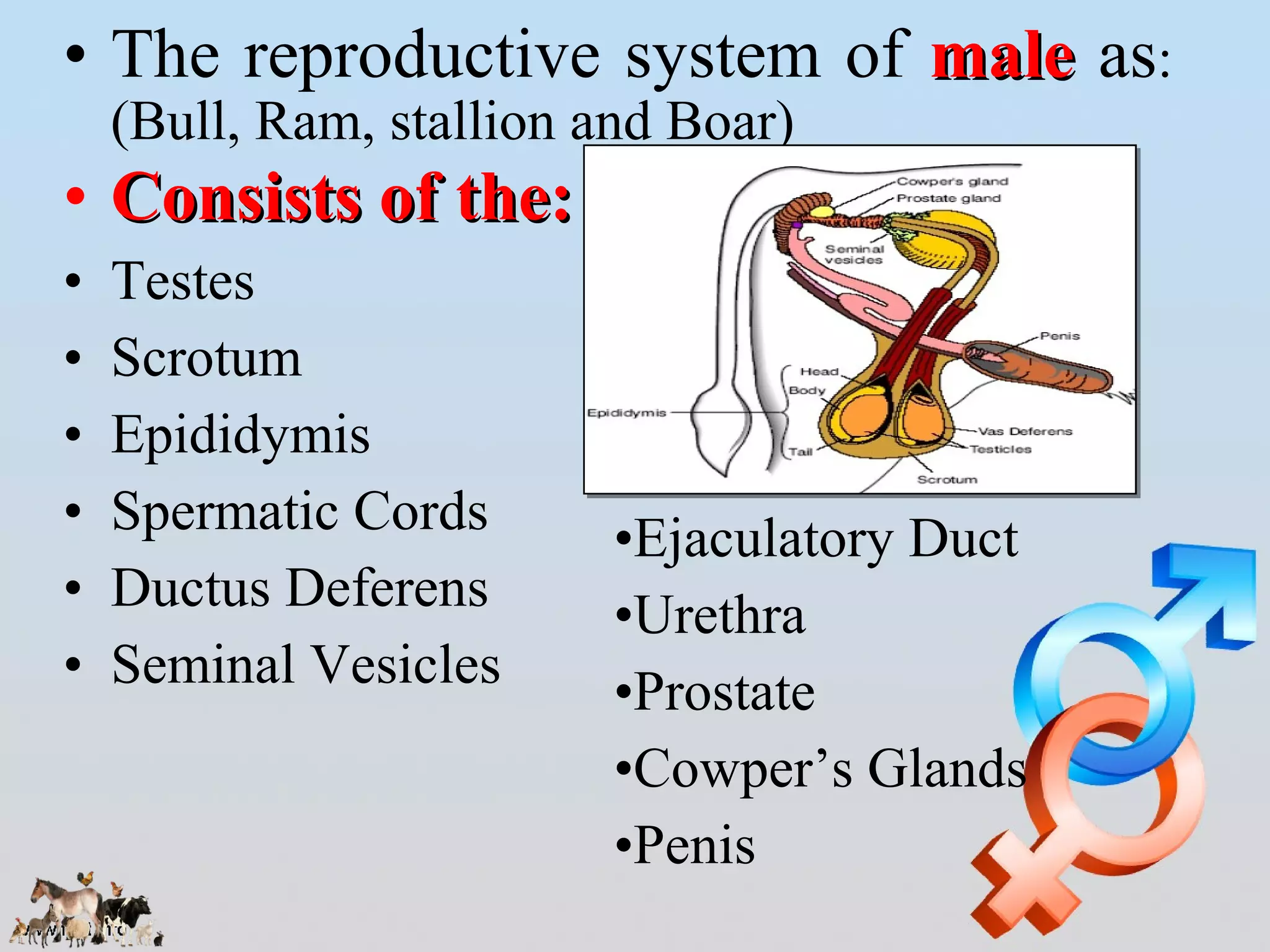 Presentation: Comparative Reproductive | PPT