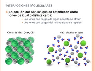 1.2 moleculas biológicas | PPTX