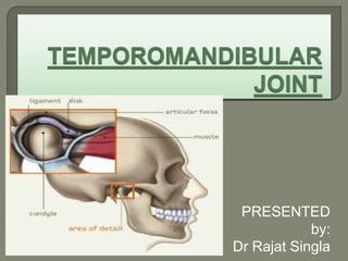 Condyloid Joint Jaw