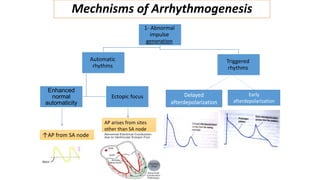 antiarrhythmic drugs | PPTX