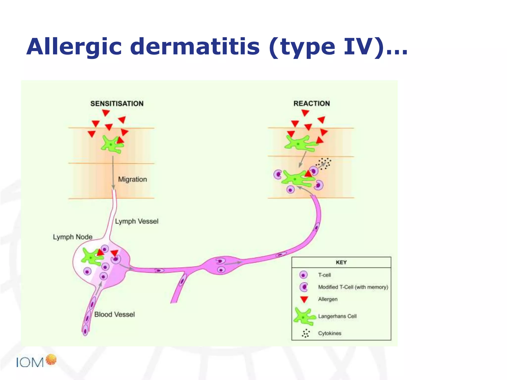 Why is dermal exposure important? | PPT