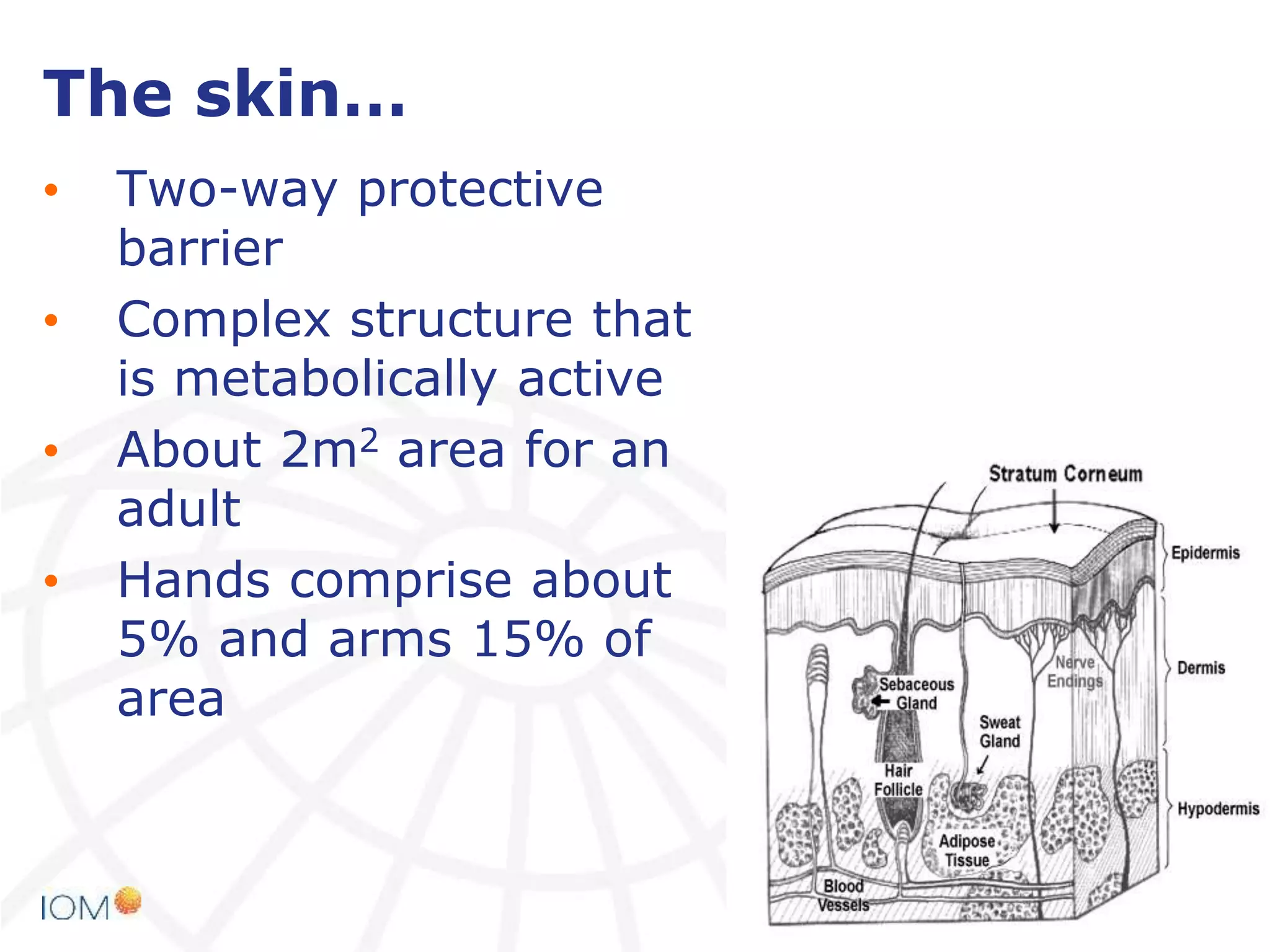 Why is dermal exposure important? | PPTX