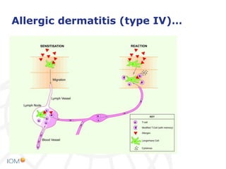 Why is dermal exposure important? | PPT