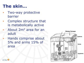 Why is dermal exposure important? | PPT