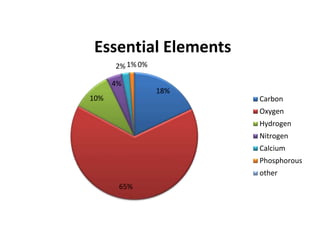 1.chemical basis of life | PPTX