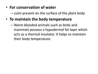 1.chemical basis of life | PPT