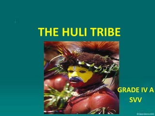 1. Huli tribes ppt | PPTX