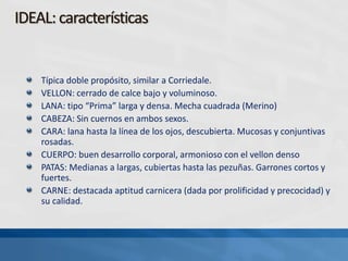 4. Producción de ovinos (razas) | PPTX