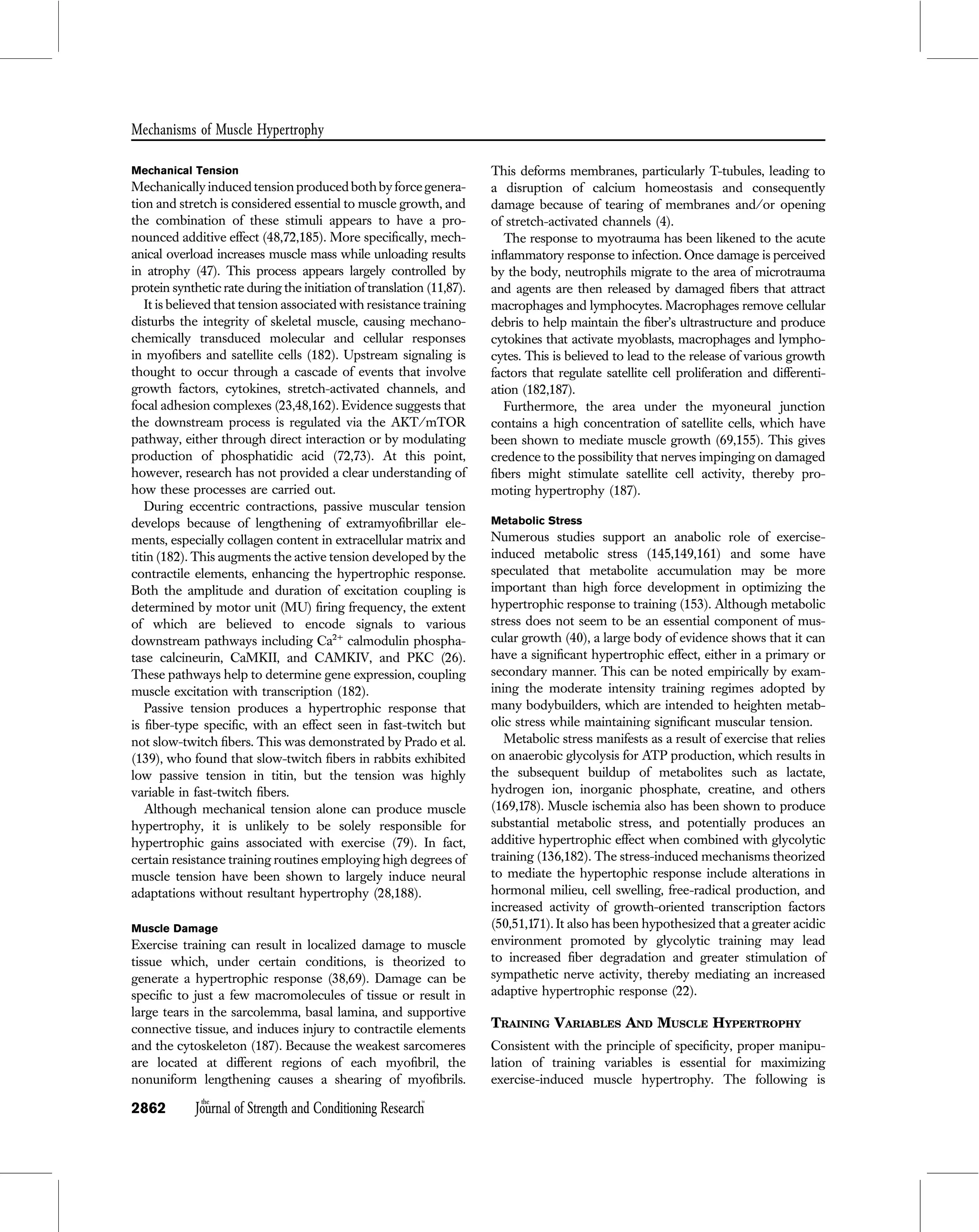 1.0. schoenfeld jscr (2010) mechanisms of muscle hypertrophy | PDF